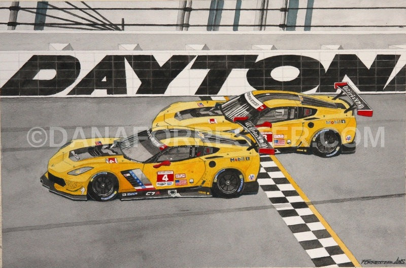 "The Dominators" – Dana Forrester Watercolors